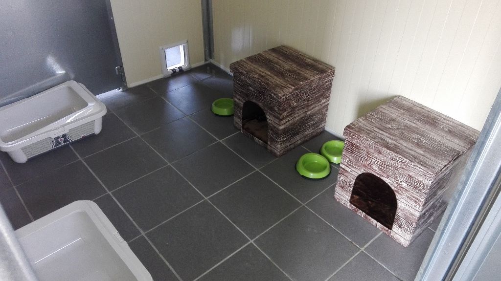 Pension - Elevage Du Long Bec D'enchanet - eleveur de chiens Setter anglais